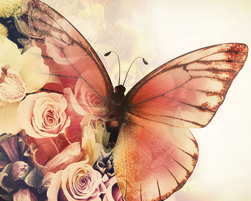 Debbie Hahn – Marriage Commissioner