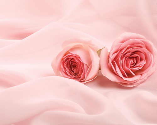 Debbie Hahn – Marriage Commissioner